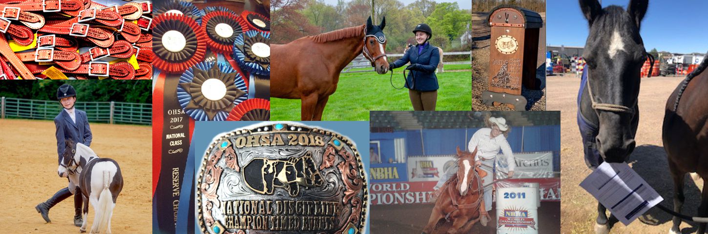 Open Horse Show Association - Home